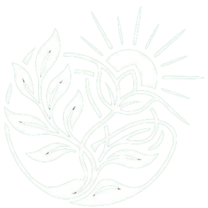 Delhi Public School – Steel Township,Sector-14,Rourkela